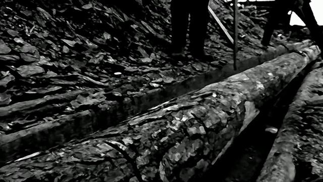 1977 год. ХМАО. Поселок Советский. Леспромхоз