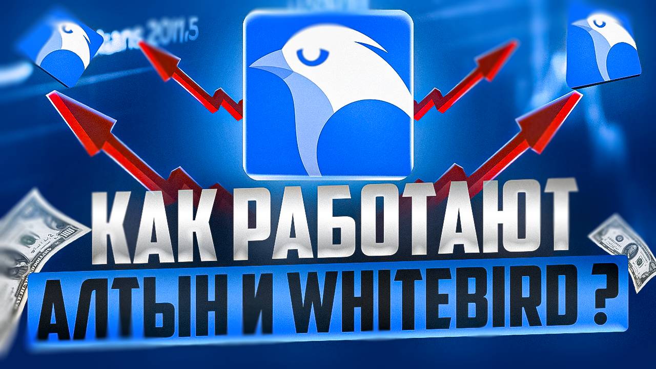 ОБЗОР АЛТЫН И WHITEBIRD - РЕГУЛИРУЕМЫЕ КОШЕЛЬКИ И ОБМЕННИКИ