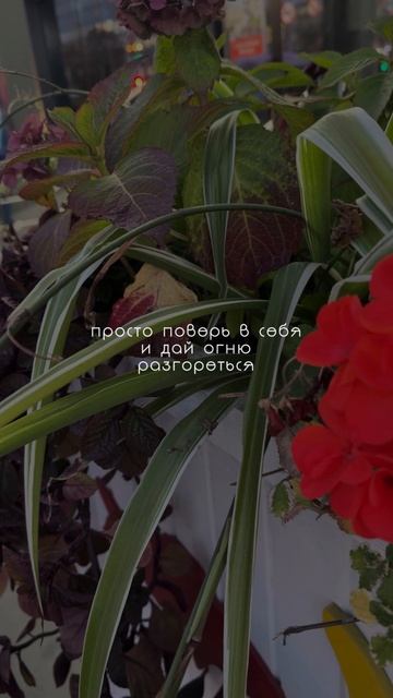 Счастье, деньги, любовь и энергия — это не случайность, а система