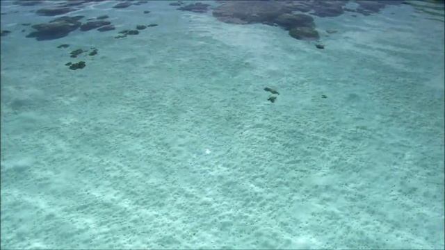 Утомлённые летом