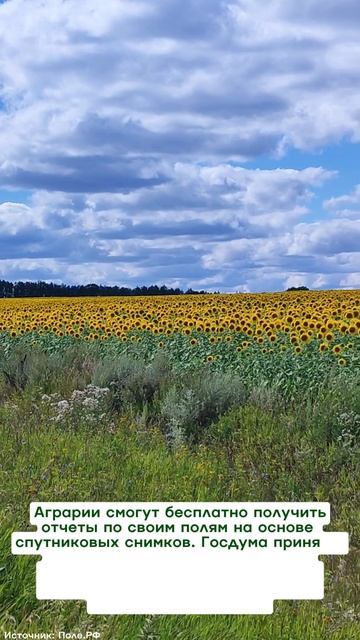 Агроновости 15-21 сентября 2025 года