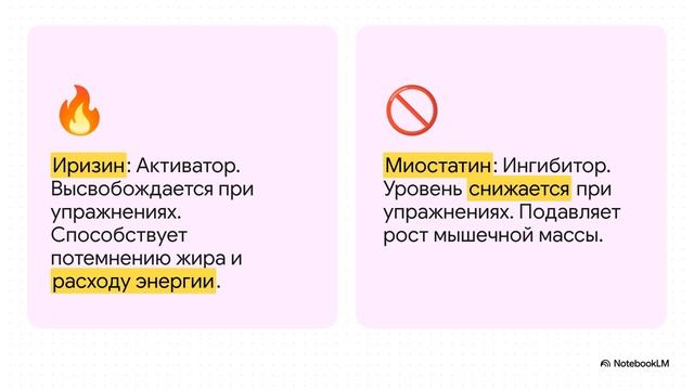 Миокины: регуляция метаболизма при ожирении и диабете 2 типа