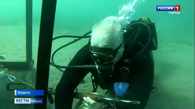 Вблизи Алушты стартовала акция «80 лет Победы — 80 рекордов»