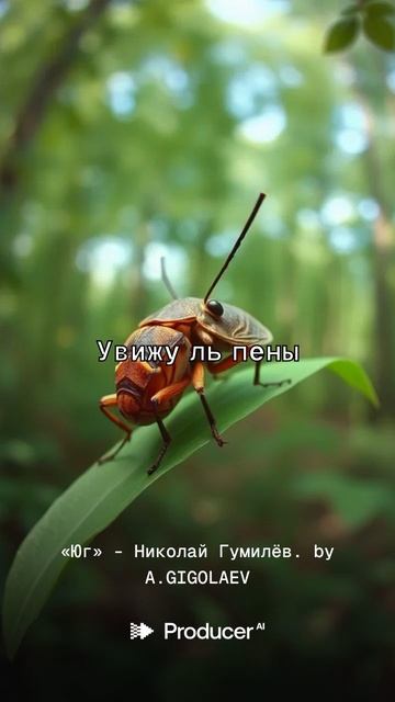 «Юг» - Николай Гумилёв.