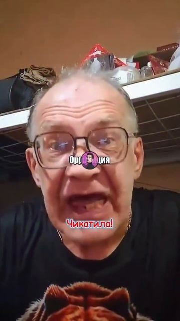 видео из ватцапа
