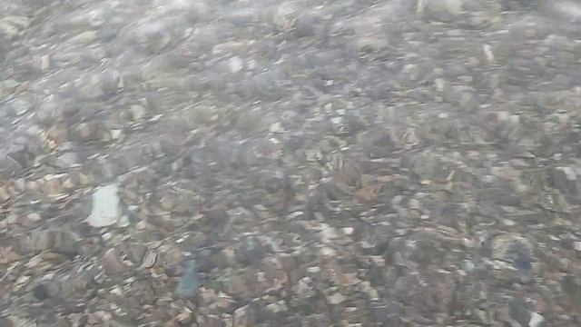 Отдых на Чёрном море в Кабардинке. 2025 год. Вода прозрачная, прохладная, мокрая, удивительная. Утро