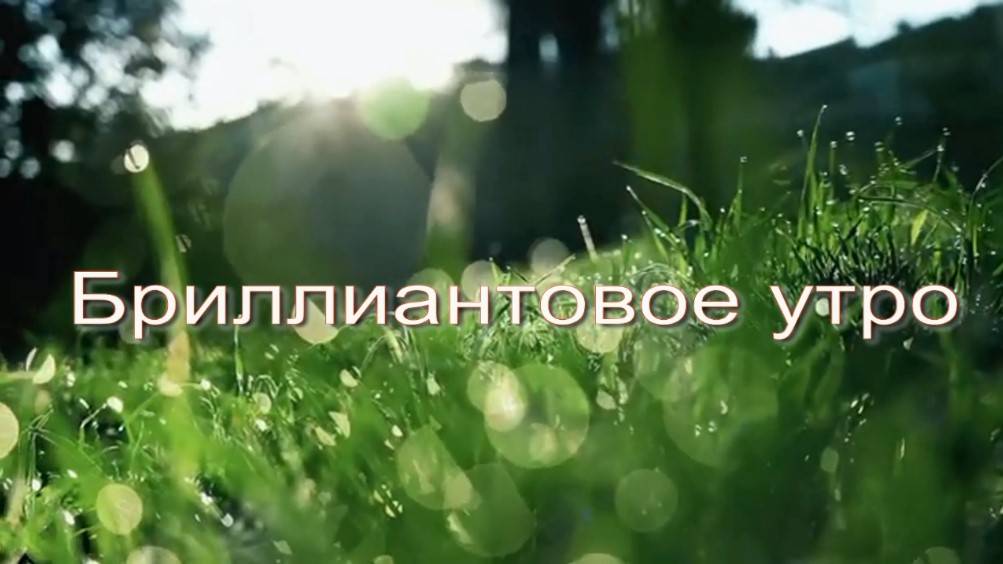 Бриллиантовое утро. Стихи и монтаж - Е.Доставалов, генерация звука в ИИ - И.Латанов