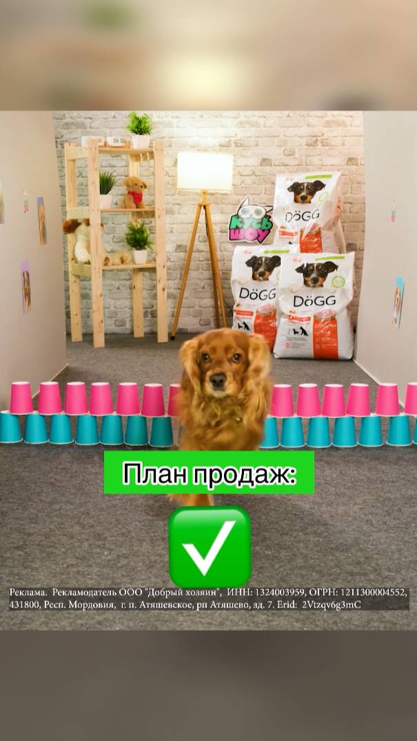 Кусь-шоу. Ты и план продаж