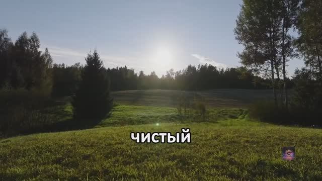 G-Gosha - Я не святой