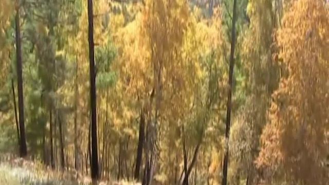 Из серии Ангарские зарисовки. Изменчивый день сентября. Часть 1.