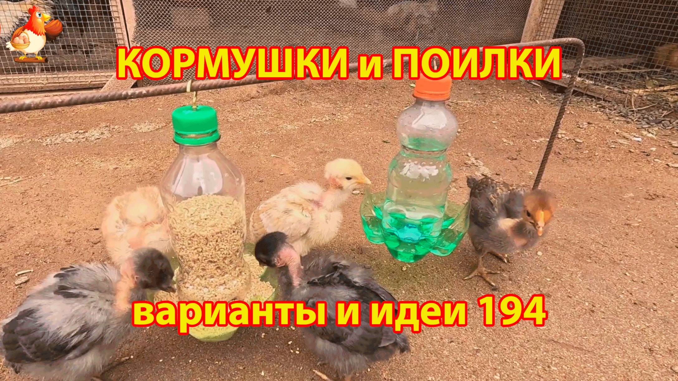 Кормушки и поилки для кур своими руками (194) 🪚✂️ Пошаговая инструкция как сделать 🐔 🐓❣️