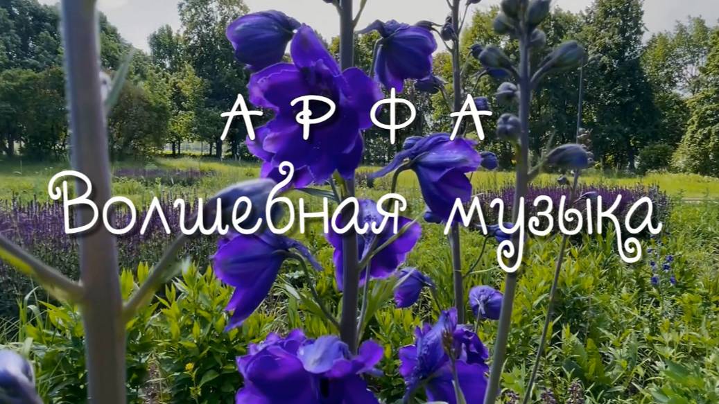 Волшебная музыка. Ирландская арфа, красиво звучит. Музыка для души