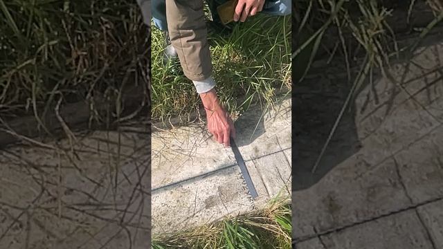 21_СЕНТЯБРЯ_2025_НАЧАЛО_ОСЕННЕГО_РАВНОДЕНСТВИЯ_КРИВАНДИНСКИЙ МЕГАЛИТИЧЕСКИЙ КОМПЛЕКС. ВСЁ ЦИКЛИЧНО