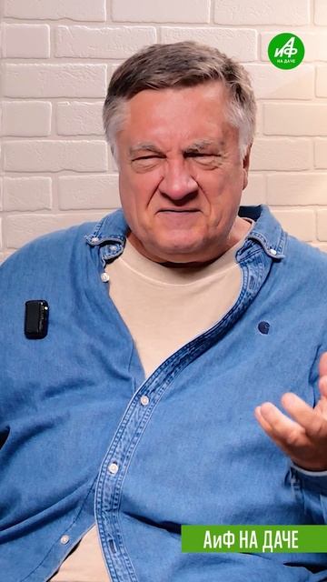 «Как же вкусно!»: садовод Туманов раскрыл, что нужно выращивать в огороде новичкам