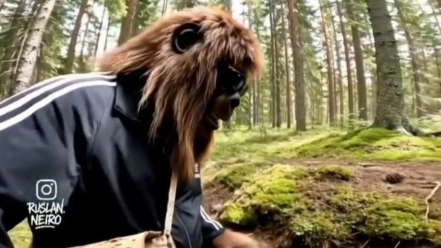 Леха Лесной - 1 серия.