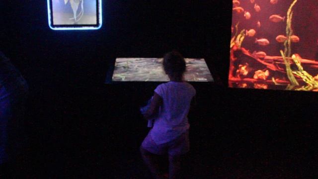 MVI_2029
