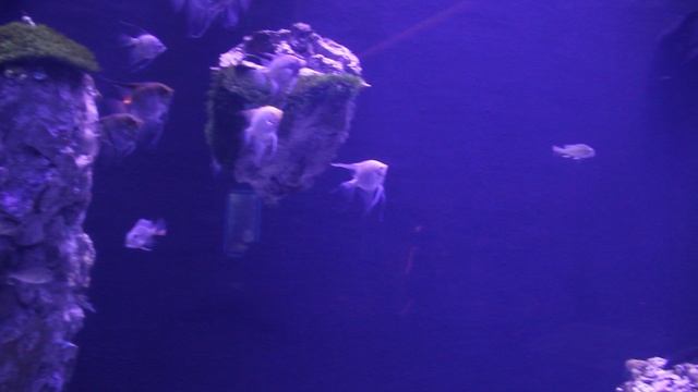 MVI_2028