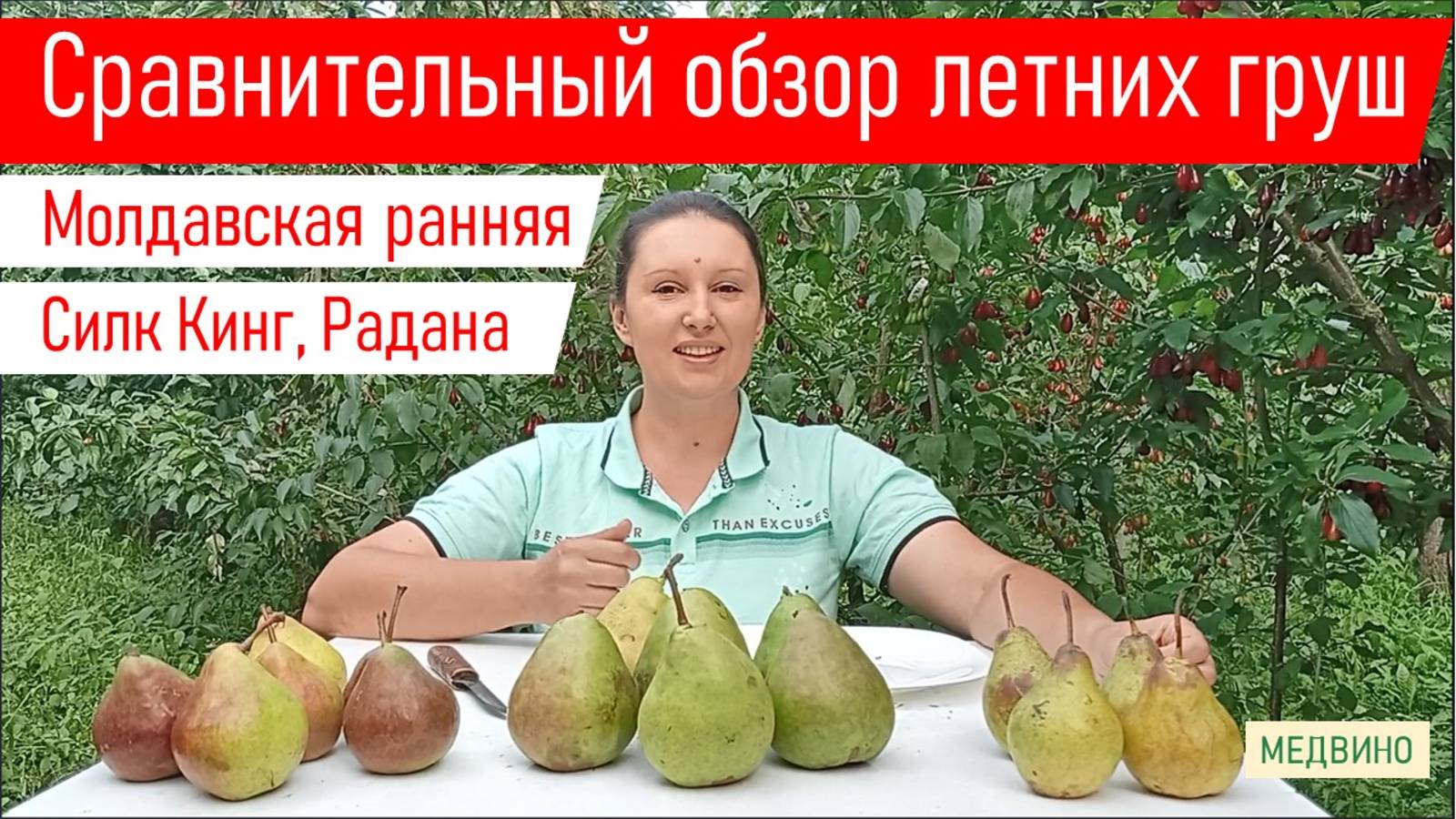 Сравнительный обзор летних груш Молдавская ранняя, Силк Кинг, Радана