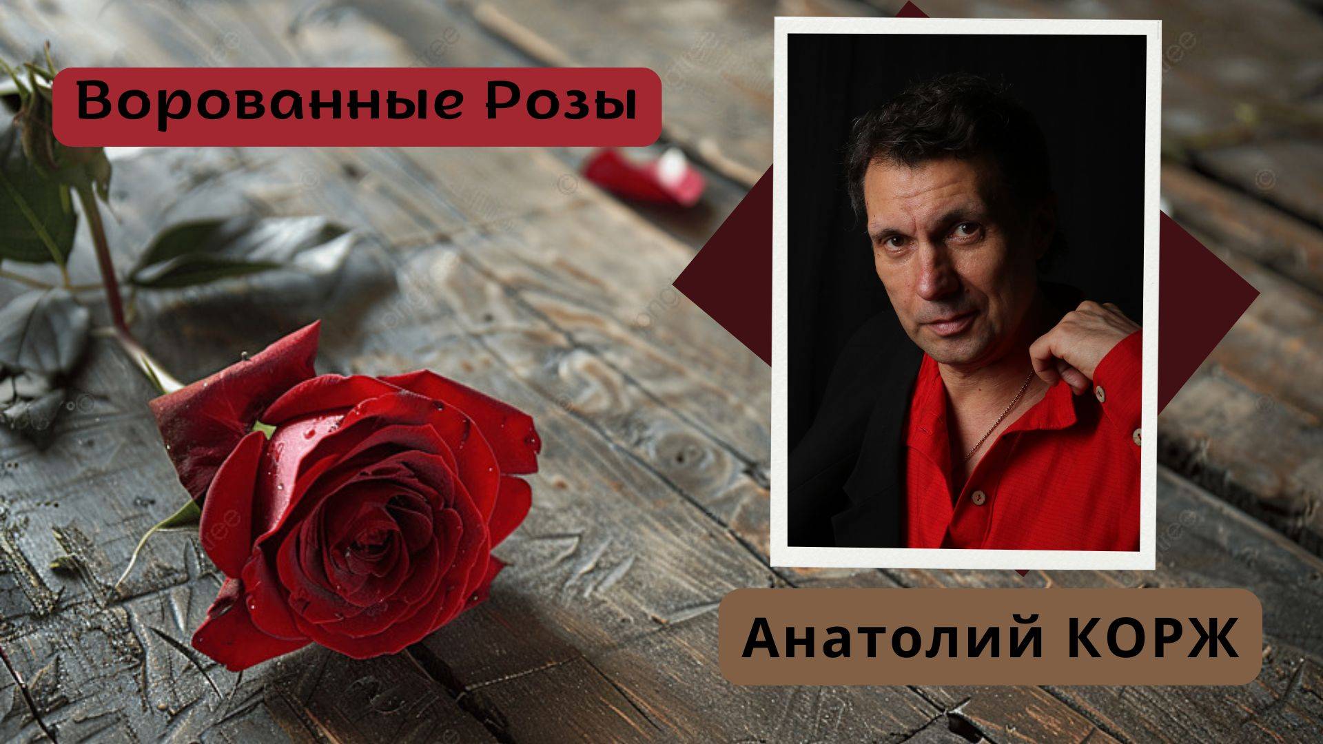 Анатолий КОРЖ ★ ВОРОВАННЫЕ РОЗЫ (Клип)
