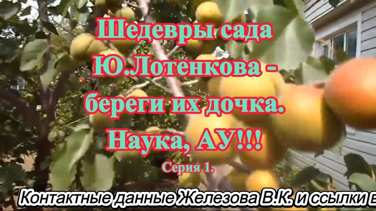 Шедевры сада Ю.Лотенкова - береги их дочка. Наука, АУ!!! Серия 1.