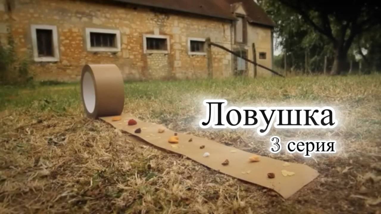 Мультик Насекомые. Ловушка. 3 серия