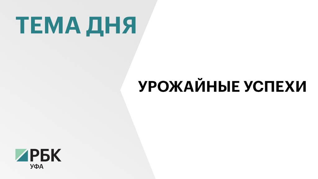 Более 3 млн тонн зерна намолотили в Башкортостане, обработано 79% полей