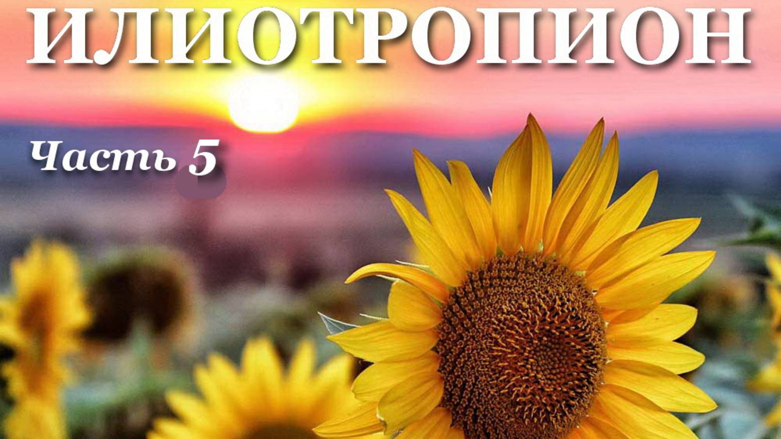 ИЛИОТРОПИОН. 5 часть.