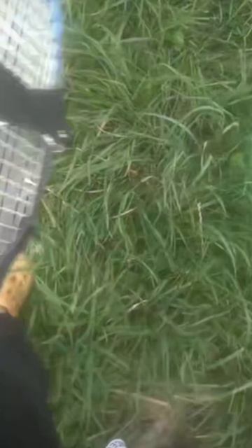 Хахахахаха прикол! Хобби хорсинг#прикол#