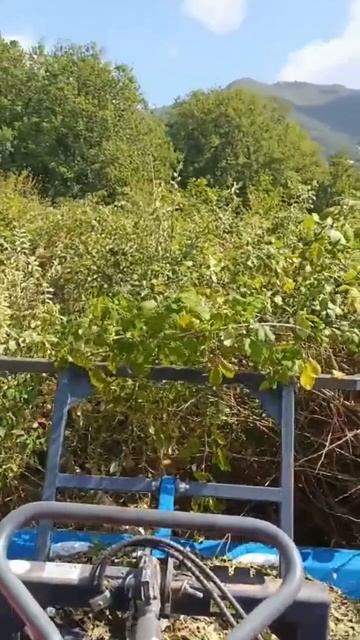 🔵 TSLQ180 Мульчер лесной OSMA на трактор 60-90лс с низким ВОМ