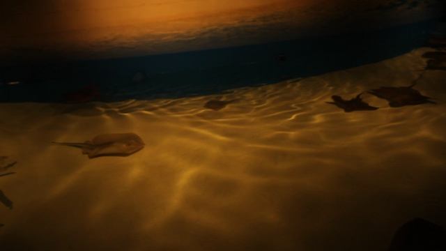 MVI_2033
