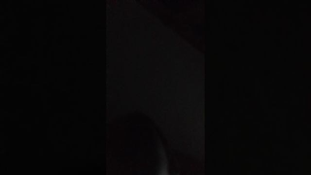 л