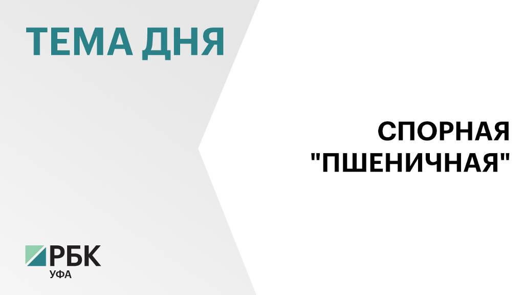 Национальная дистрибьюторская компания подала новый иск к «Башспирту» почти на ₽73 млн