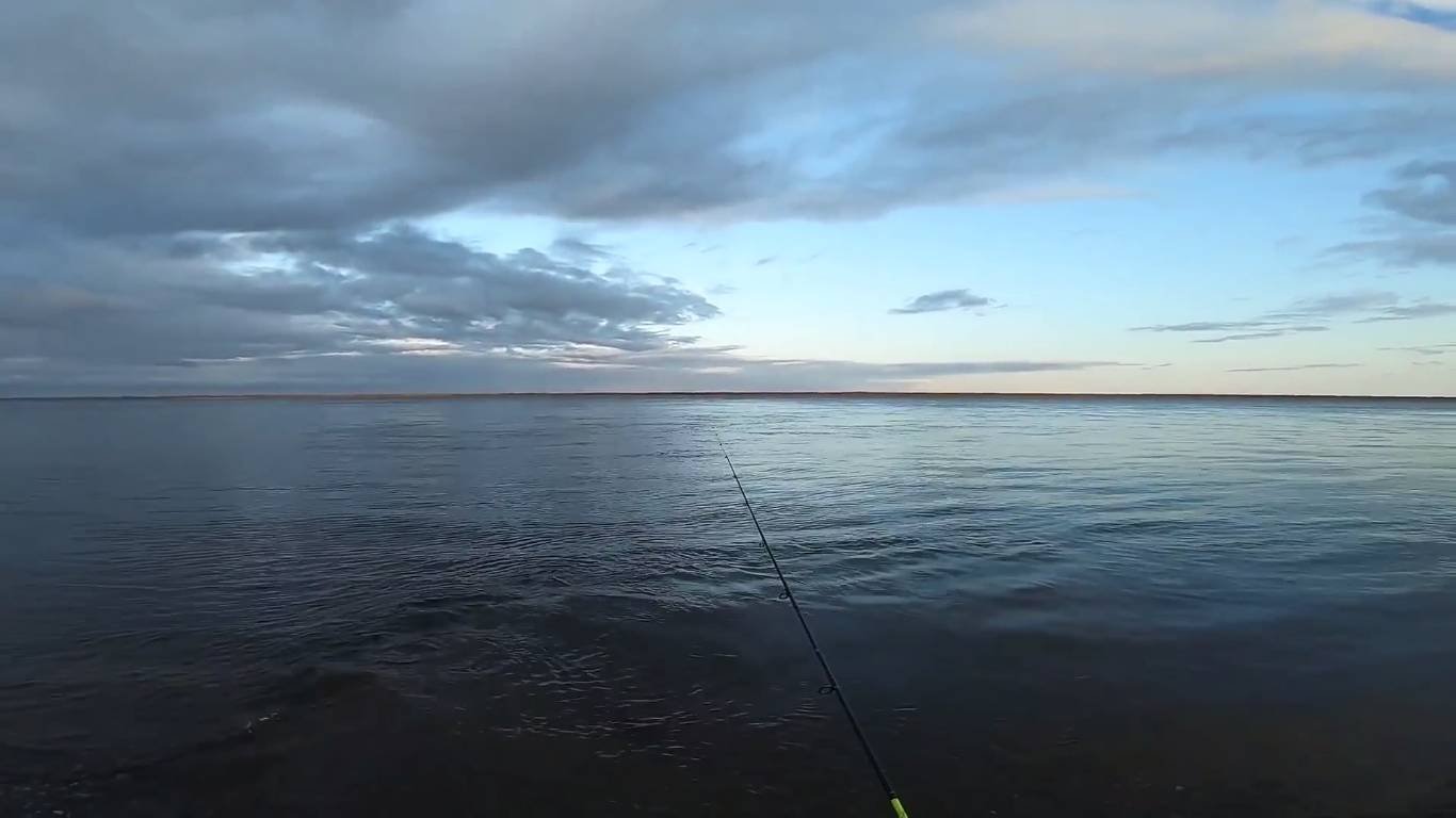 Рыбалка На Спиннинг. Хозяин Реки Порадовал...