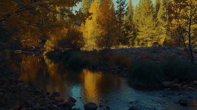 🍂🍁 🌲 Расслабляющие звуки осенней природы | Тихая река и птицы | Сон | Медитация | Фокусировка