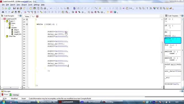 CodevisionAVR цикл while