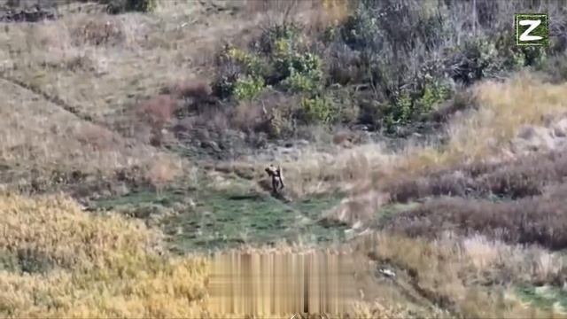 СВО Герой среди нас