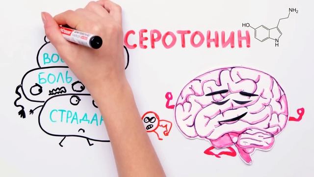 Откуда у нас эмоции  — Научпок