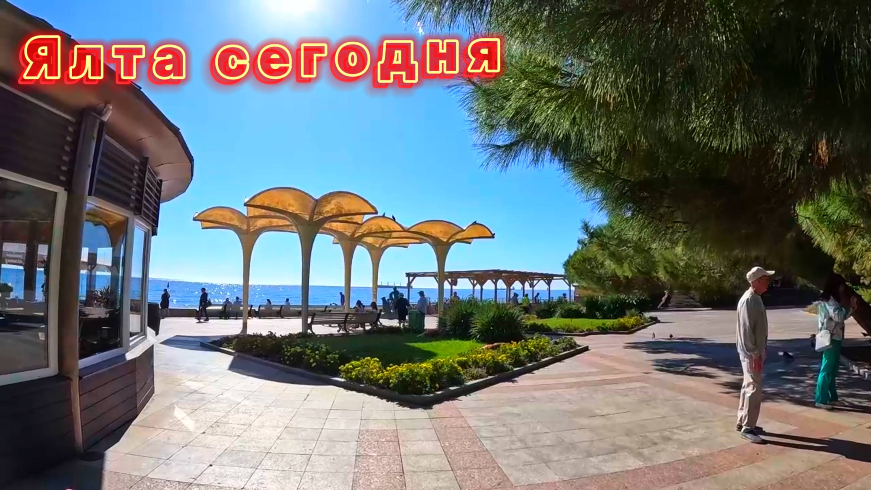 Ялта . Погода на море Собаки еще спят.