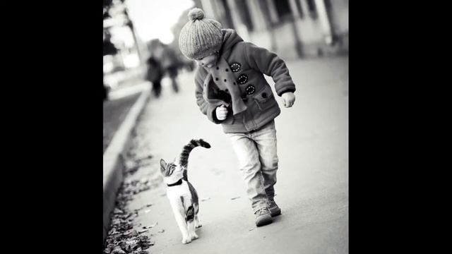 Марина Урусова. Котоматрицы-1