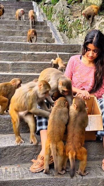 Благотворительность