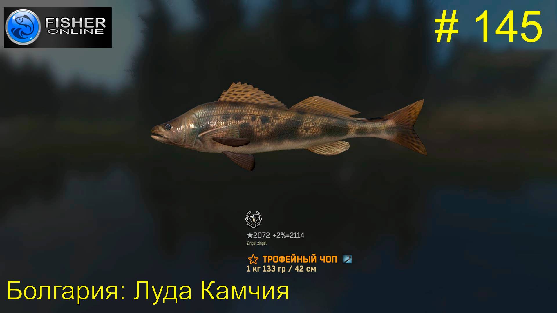 #145 Болгария:Луда Камчия. ч.10 Путь к серебру: в поисках трофейного чопа. Прохождение Fisher Online