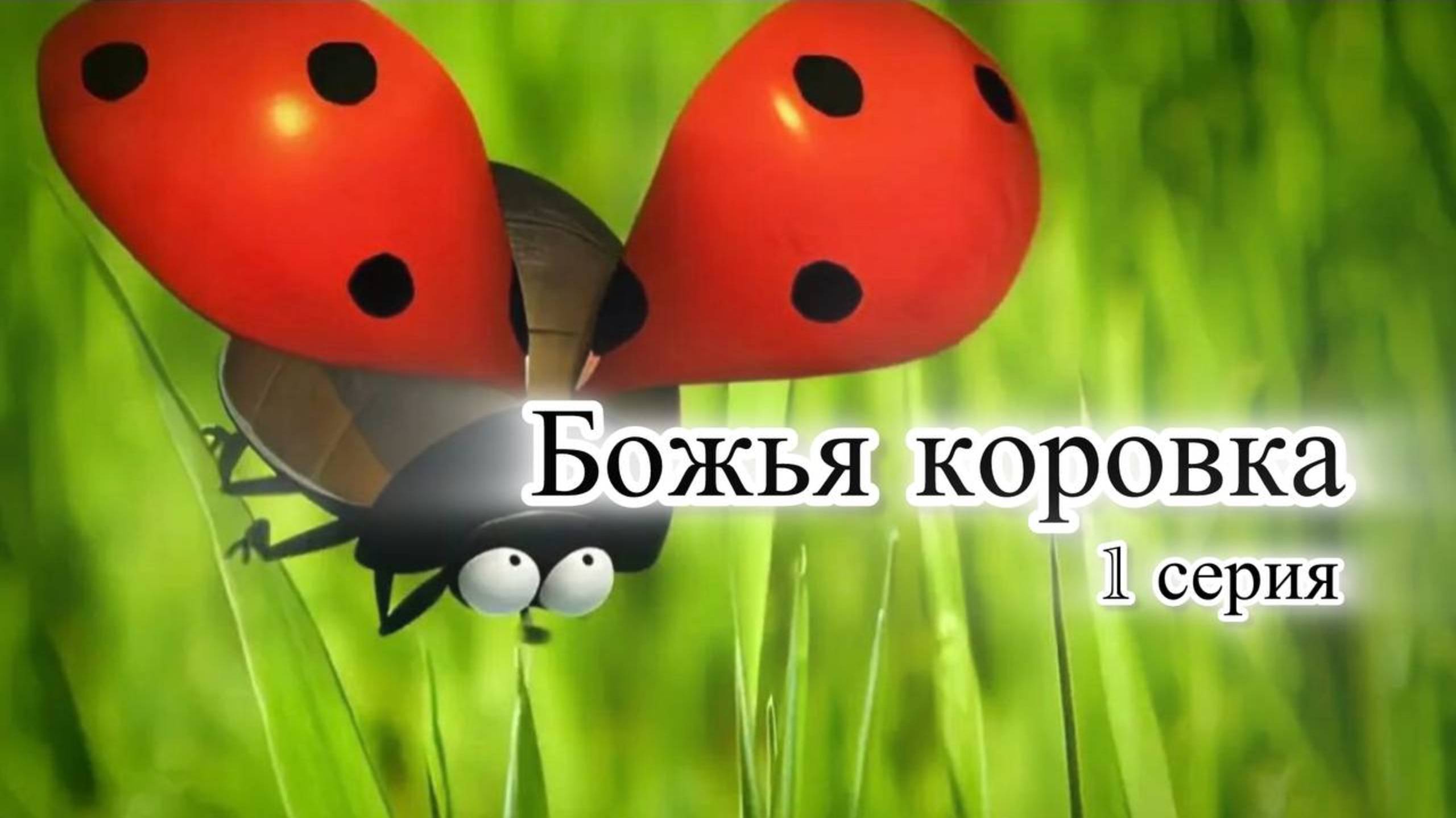 Мультик насекомые. Божья коровка.