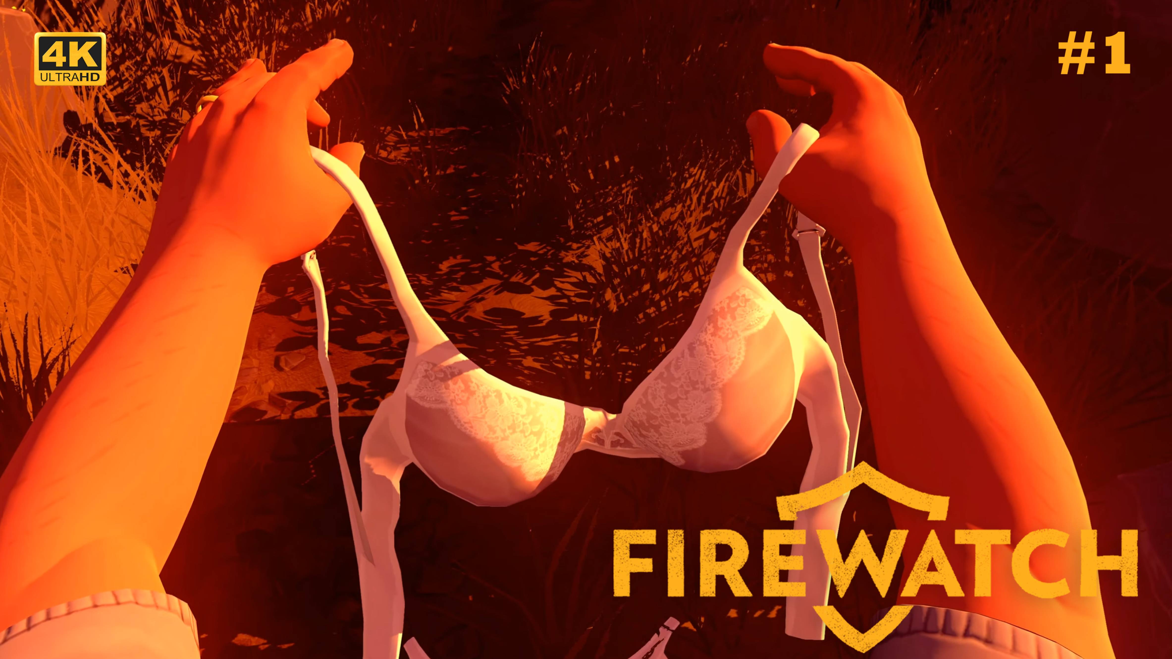 [4K] 🎆 Фейерверки - Firewatch [#1]