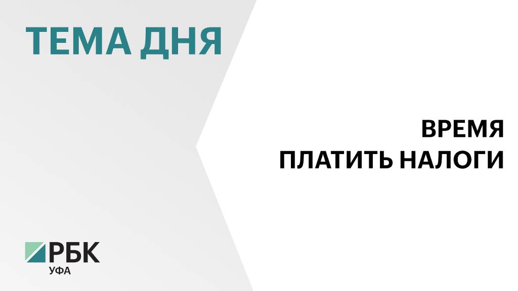 Жители Башкортостана заплатят ₽11,3 млрд налогов за 2024 г.