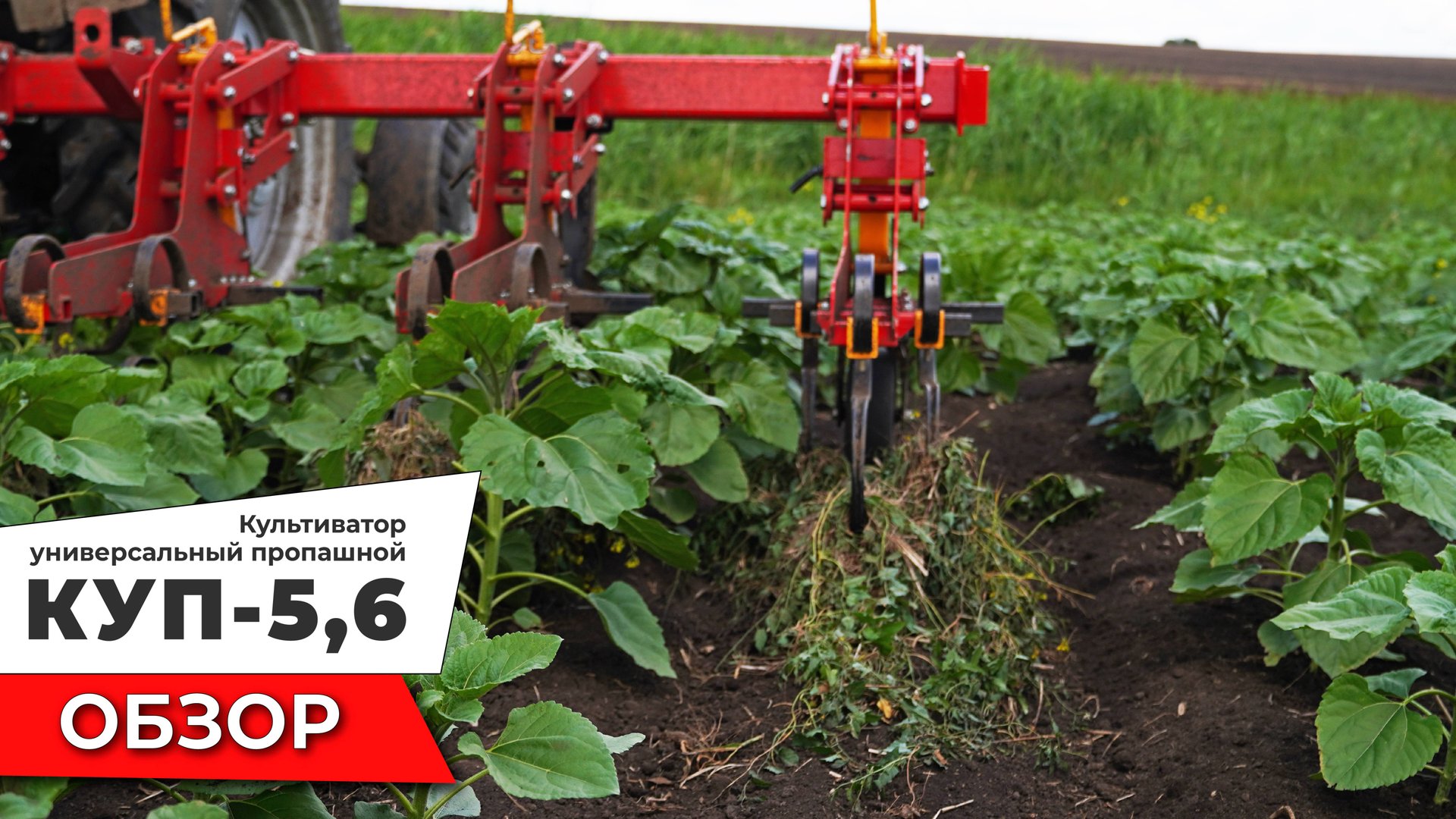 Универсальный пропашкой культиватор КУП-5,6