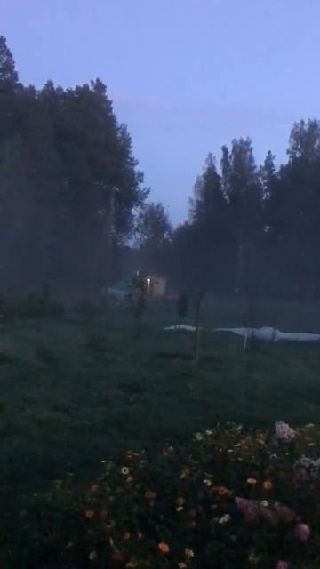 Ленобласть. Хвойное. 22.09.2025. Дача. Образование тумана над лугом