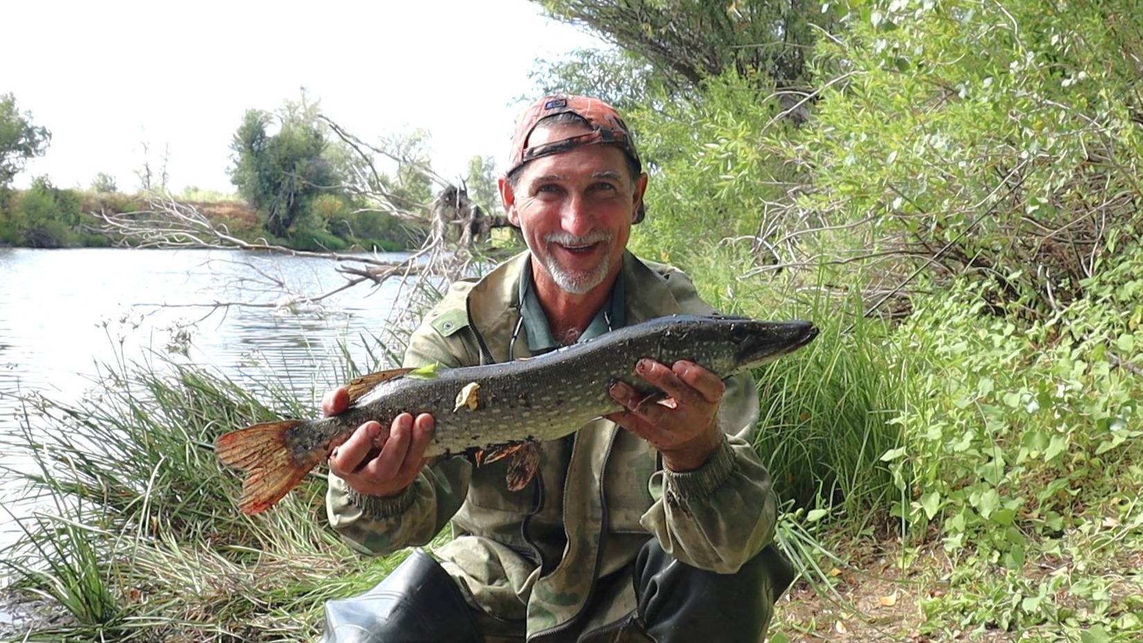 В поисках зубастой разбойницы.