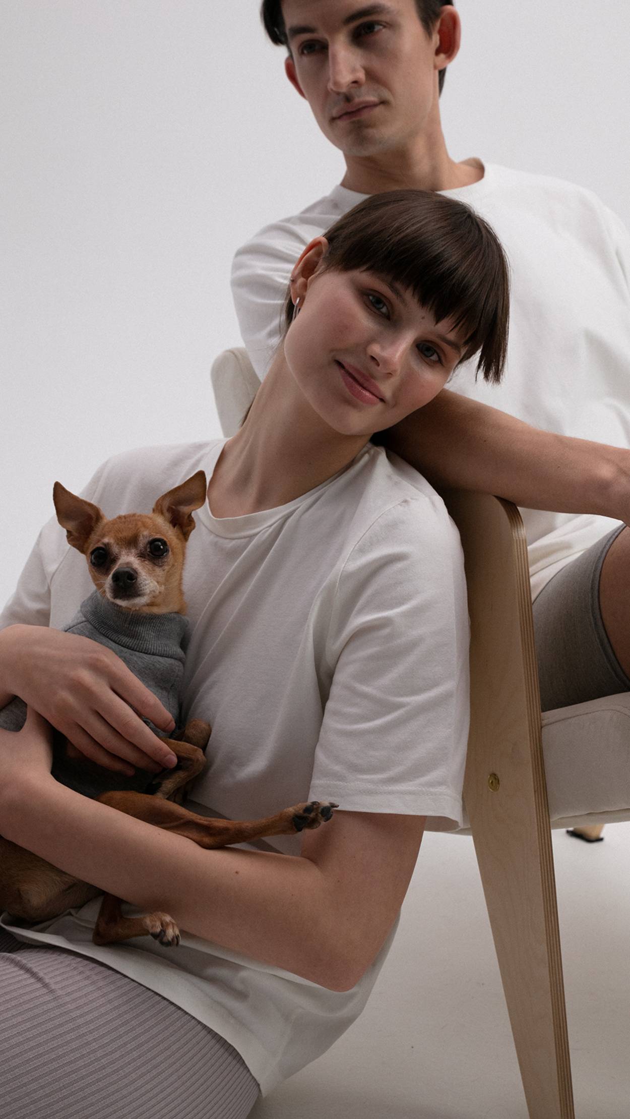 Свитер для собак, выкройка №988