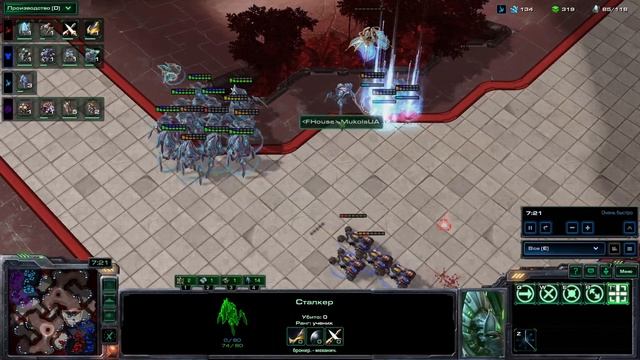 SC2 2X2 Mamoru и MukolaUA
