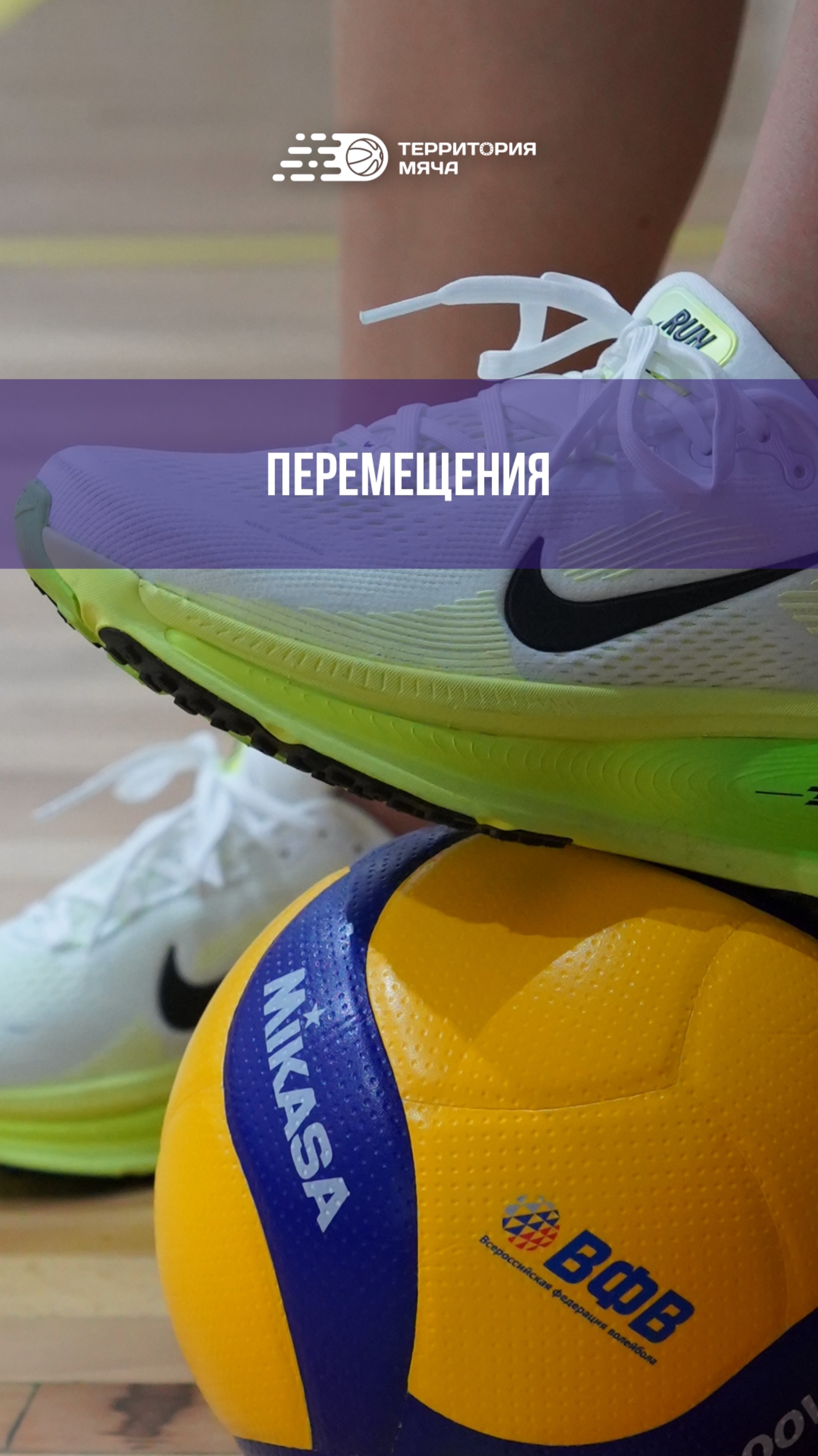 🐅 Хочешь быстро перемещаться по площадке?